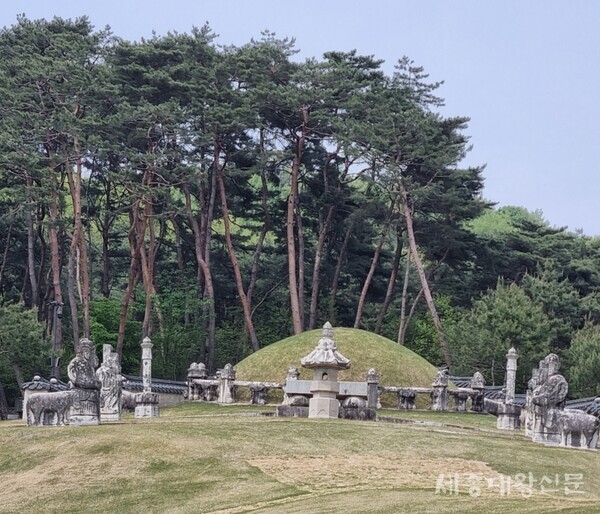 세종대왕과 효종대왕 숨결이 깃든 여주 영릉, 그리고 원찰 신륵사를 답사해보니---